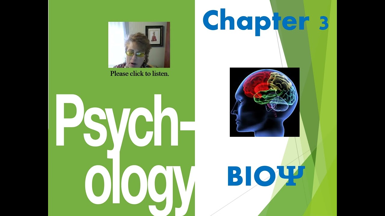 2025 PPT  CH3   BIOPSYCHOLOGY for Youtube