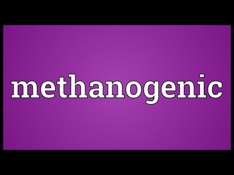 Methanogenic Meaning
