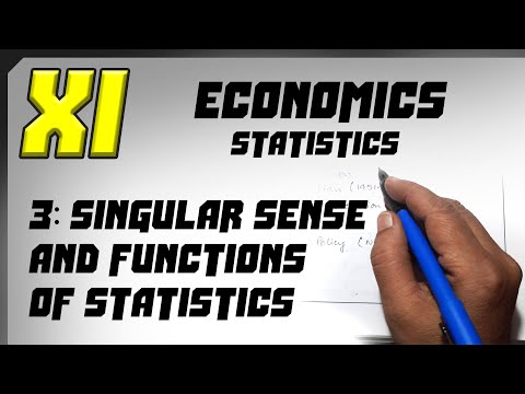 XI Statistics for Economics #3//SingularSense and Functions of Statistics