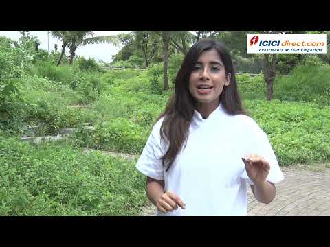 Portfolio Diversification 2022 : Meaning and Importance of Portfolio Diversification - ICICI Direct