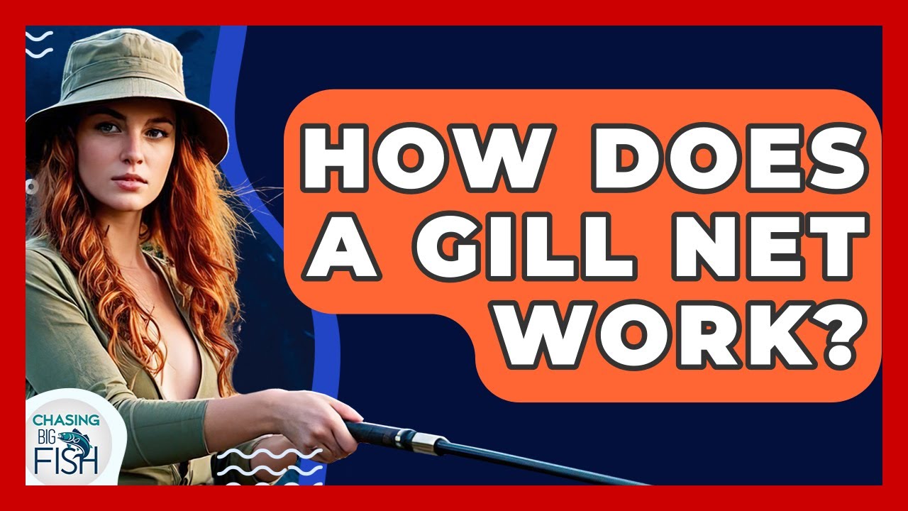 How Does A Gill Net Work? - Chasing Big Fish