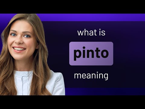 Pinto ⢠PINTO definition