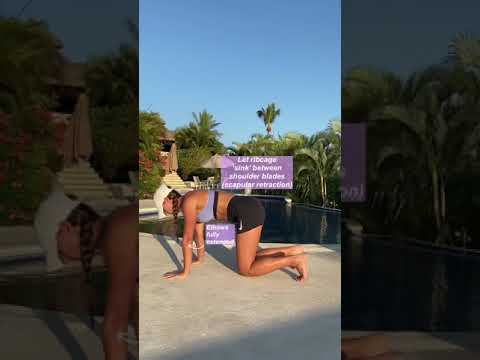 Scapular Protraction/Retraction (quadruped)