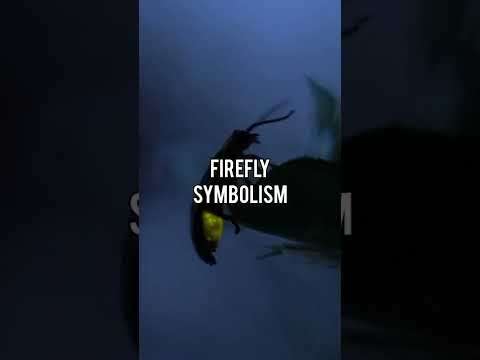 Firefly World || Firefly Symbolism || Firefly Videos || Symbolic Meaning || Spiritual Meaning