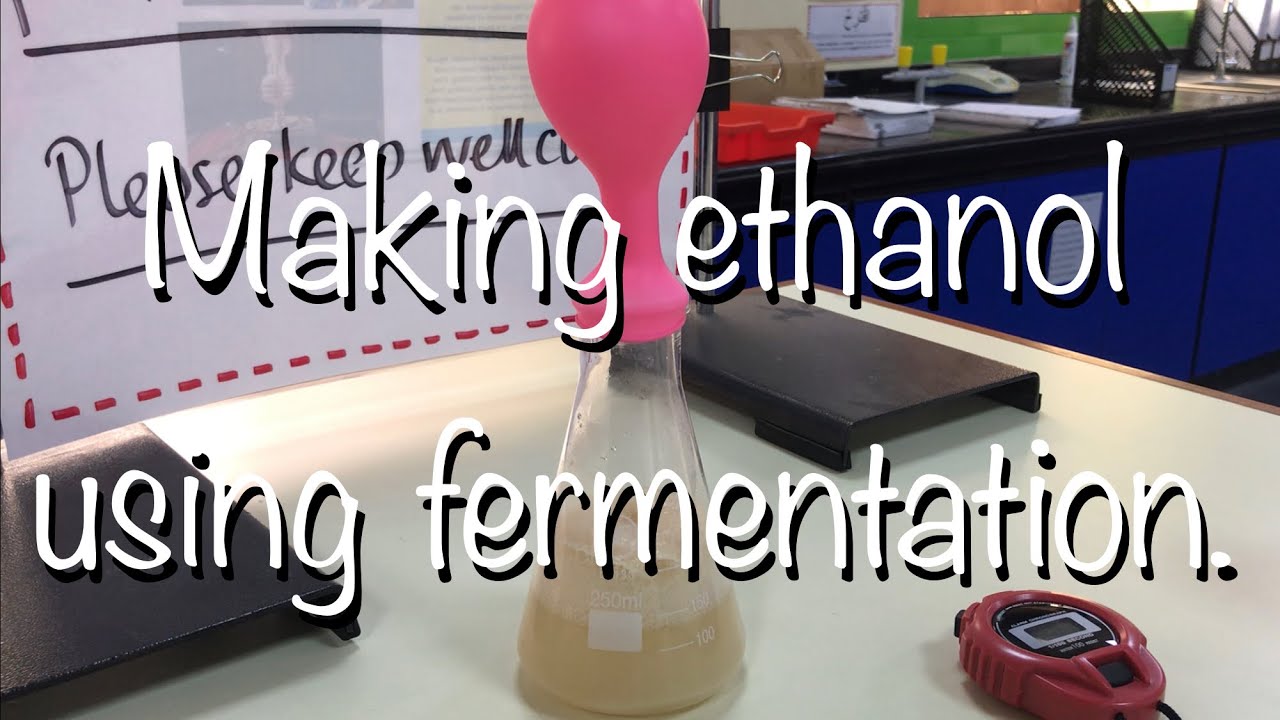 DEMONSTRATION: MAKING ETHANOL USING FERMENTATION