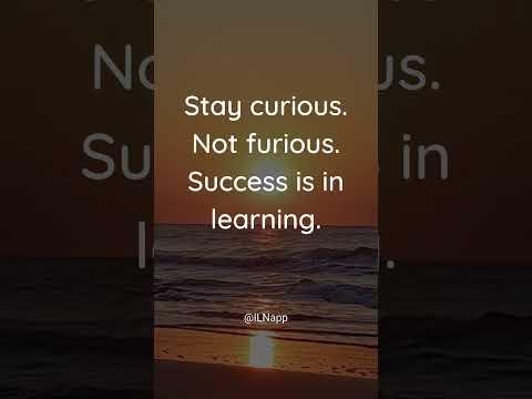 Stay Curious, Not Furious: The Key to Success Through Lifelong Learning