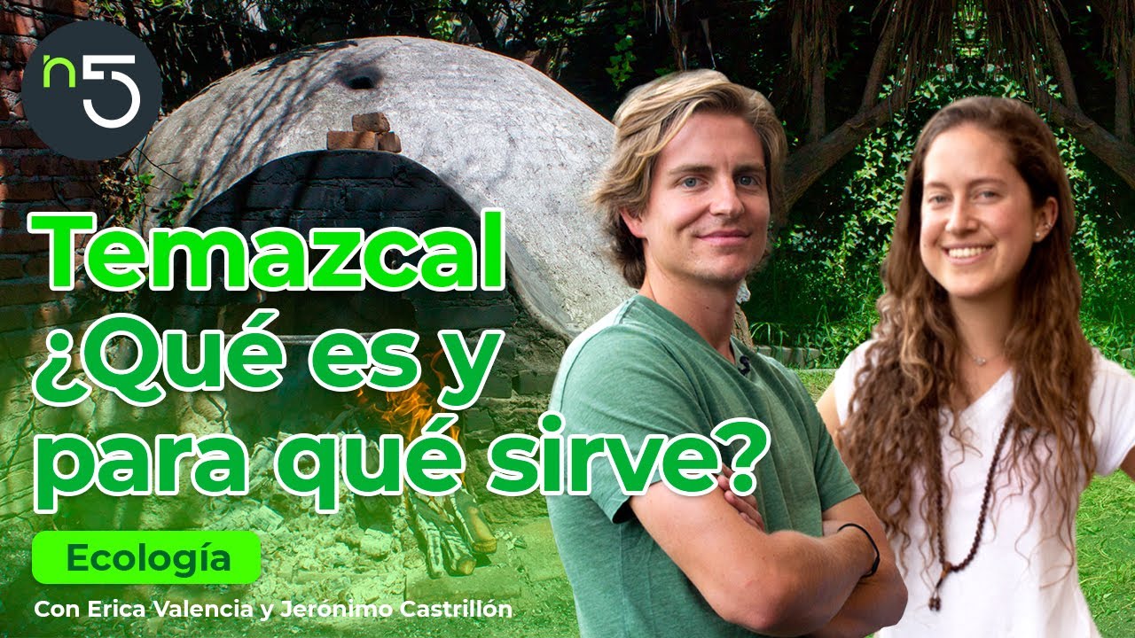 ¿Qué Es Un Temazcal? ¿Para Qué Sirve? | Ecología En Cinco | En5.mx