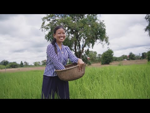 SPVO - project compilatie - 2025