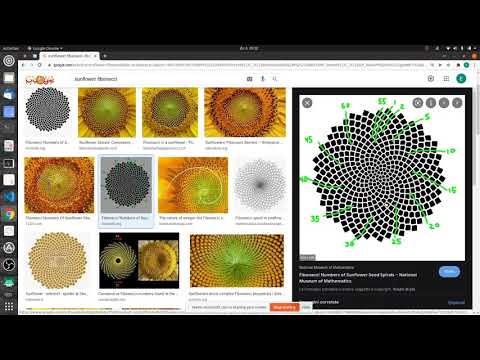 Non Lezione 33 - da zero a girasole