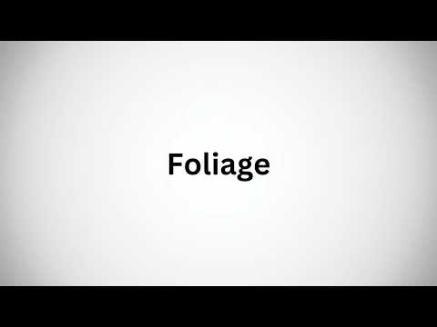 How to Pronounce Foliage in English