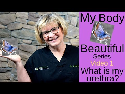 What is my urethra?