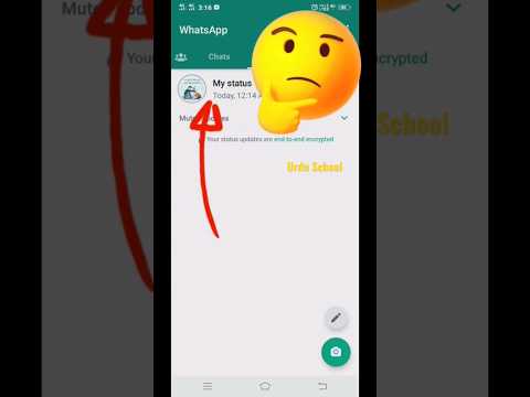 My status ka Urdu Tarjuma | Meaning of my status #shorts #urdu #youtubeshorts