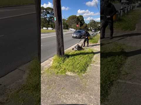 What was this cars problem! #lawncare #shorts #auto #car #roadrage #satisfying