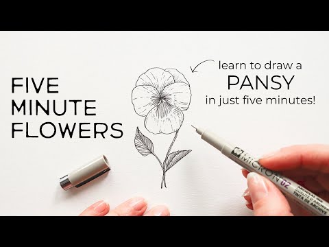 Five Minute Flowers | PANSY | Learn to draw flowers in five minutes a day!