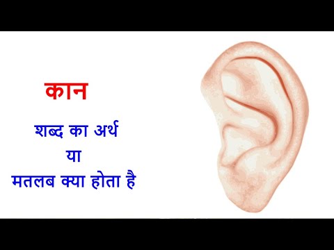 kan ka matlab || kan ka arth || कान का मतलब या अर्थ क्या होता है || ear meaning in hindi