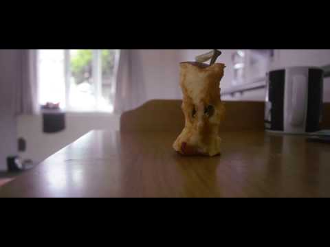 Rhetorical Analysis of a Digital Multimodal Public Artifact – Online ...