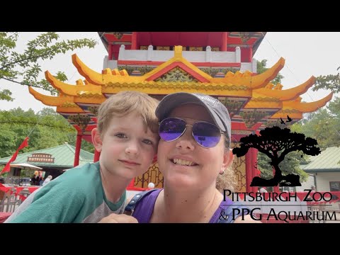 Pittsburgh Zoo Tour with Asian Lantern Festival During Daytime Admission!