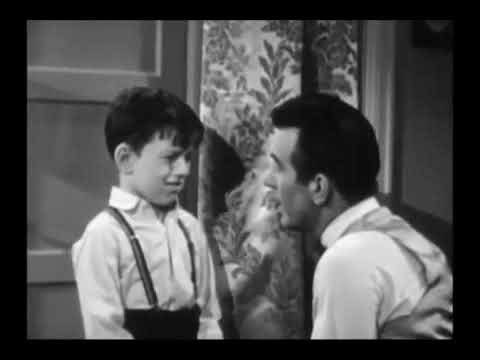 Lost "Leave It To Beaver" episode? (Gosh, no! It's another mash-up parody)
