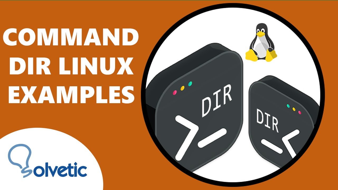 COMMAND DIR LINUX ✔️ Examples & Meaning