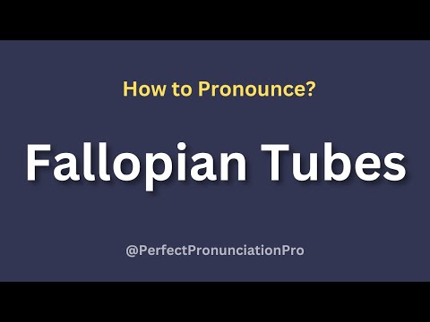 How to Pronounce Fallopian Tubes? (With meaning)