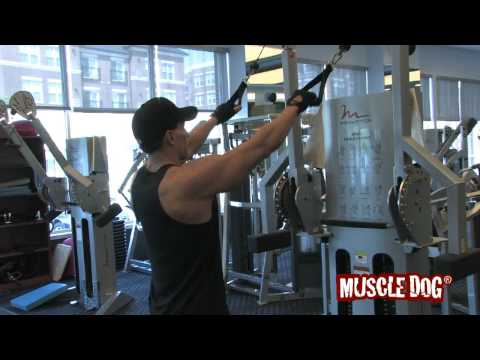 MuscleDog.com Presents: Standing High Cable Row
