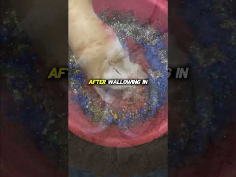 What is the most disgusting thingyou have ever done that you tookpleasure in?#reddit #redditstory