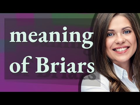 Briars | meaning of Briars