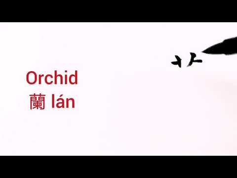 How to say and write ORCHID in Chinese (蘭 lán)