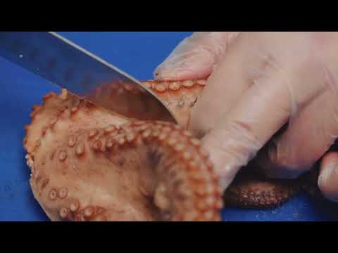 The Enigmatic World of Octopuses: Nature's Masterminds.