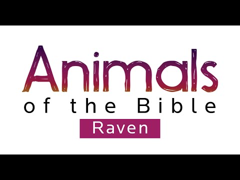 Animals of the Bible - Raven