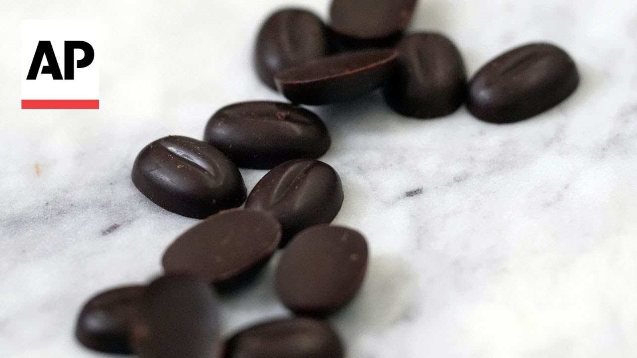 Future of chocolate: Companies grow cocoa in labs