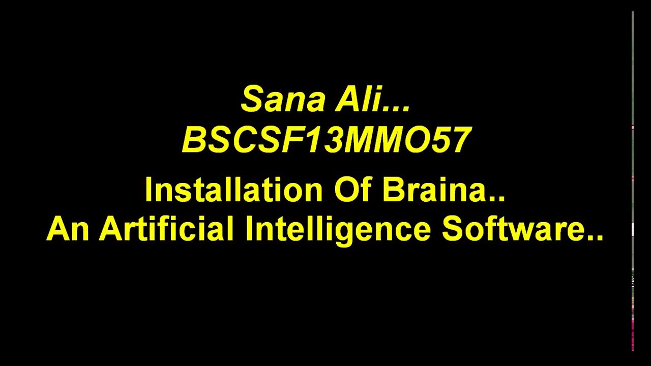 braina installation video