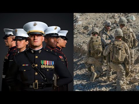 American Sign Language ASL Video Dictionary - Marine