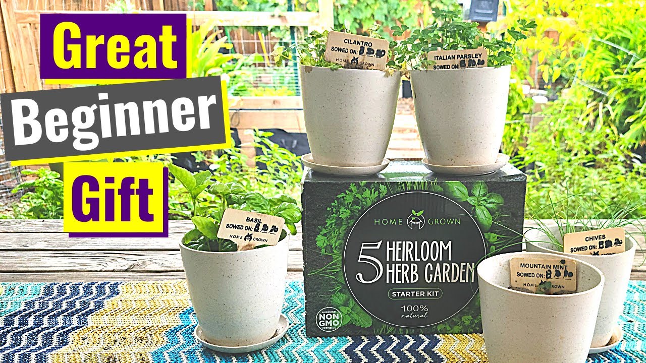 Homegrown | Great Gift for Beginners