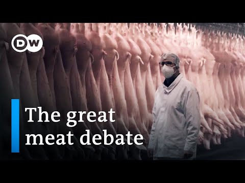 Factory farming, animal welfare and the future of modern agriculture | DW Documentary