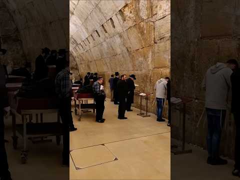 Why Is Al Aqsa So Important For Jews #shortsfeed #palestine #israel #islam #jewish