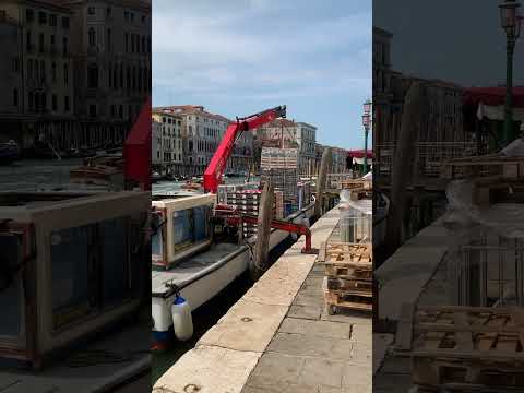 Delivering groceries Venice, Italy 🇮🇹 July-25-2024