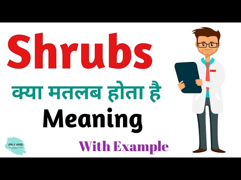 Shrubs meaning in hindi | Shrubs Ka Kya Matlab hota hai | Daily use English words