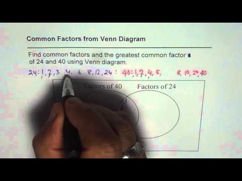 Find Common Factors and GCF Using Venn Diagram of 24 and 40