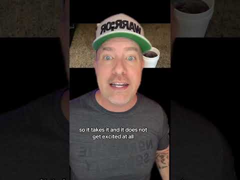 What is lean and why is it dangerous #facts #recovery #hope