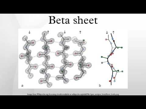 Beta sheet