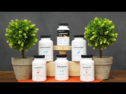 International Veterinary Sciences Dog Supplements | Chewy