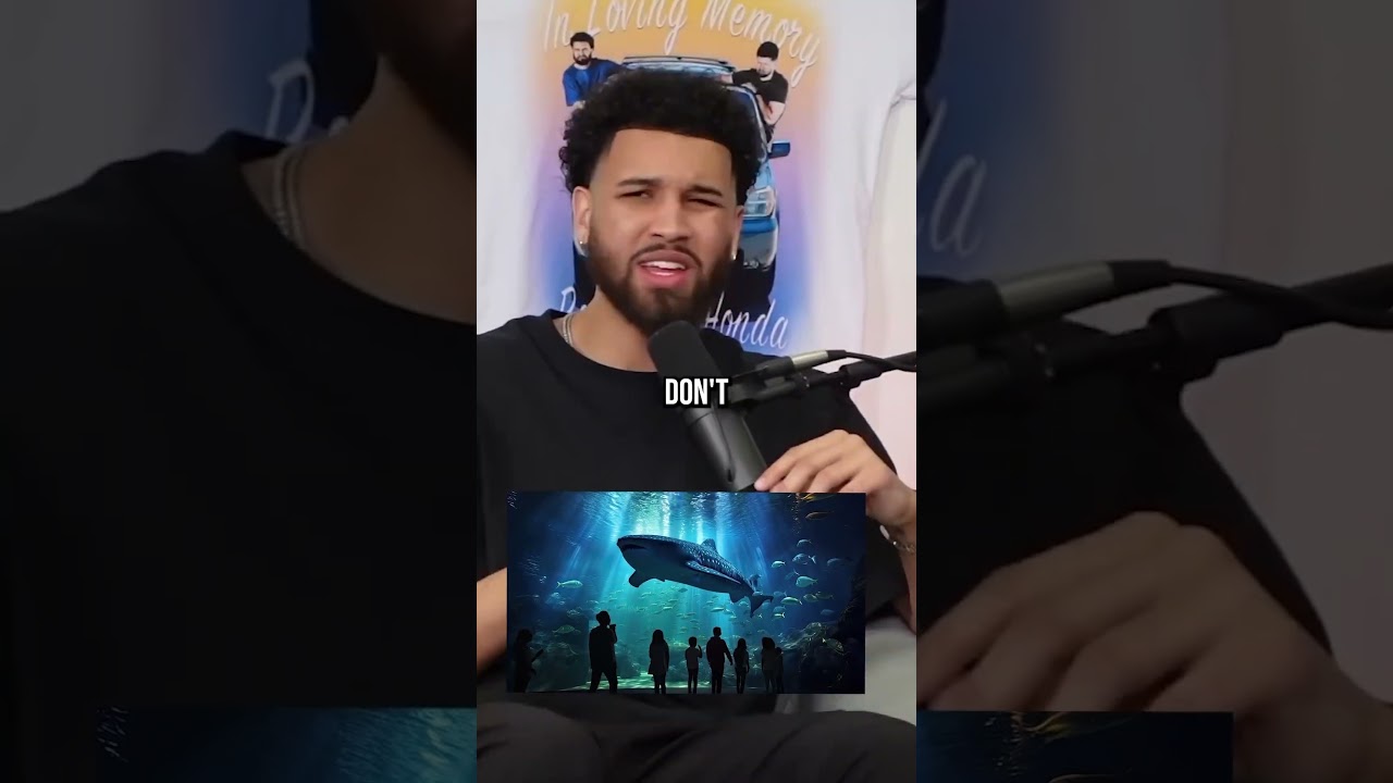 are fish animals or reptiles? 🤔 #youshouldknow #yskpodcast