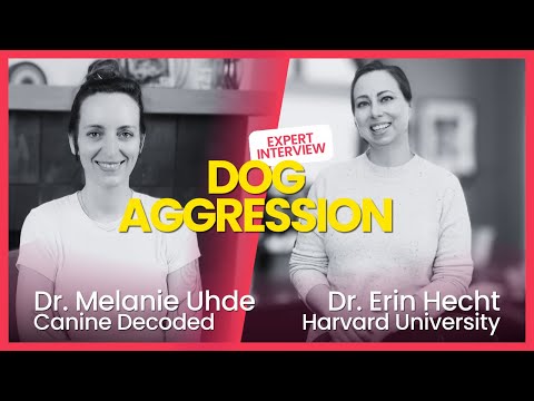 UNTOLD - Harvard Neuroscientist Explains Dog Aggression