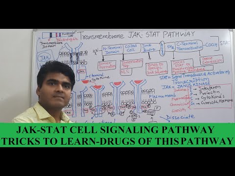 JAK STAT Signaling Pathway | Trick to Learn Drugs Follow This Pathway | MCQ GPAT, NEETPG, NORCET