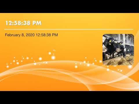 The Mystery of the Loosh Energy - Spirituality - Sapien Medicine