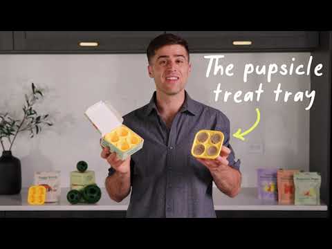 The Pupsicle Treat Tray | Woof