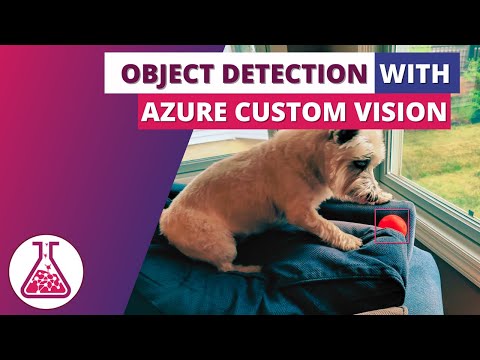 Object Detection with Azure Custom Vision