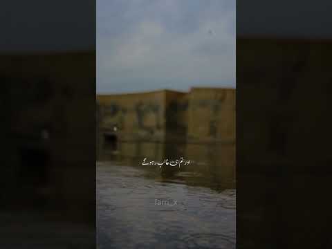 Never Give Up: Quranic Ayat Translation in Urdu for Resilience #allah#shootvideo #nevergiveup