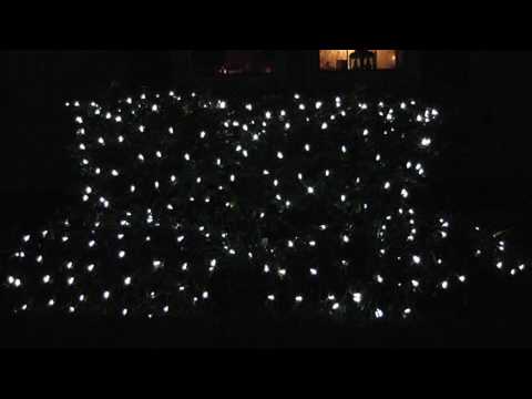 LED Net Lights